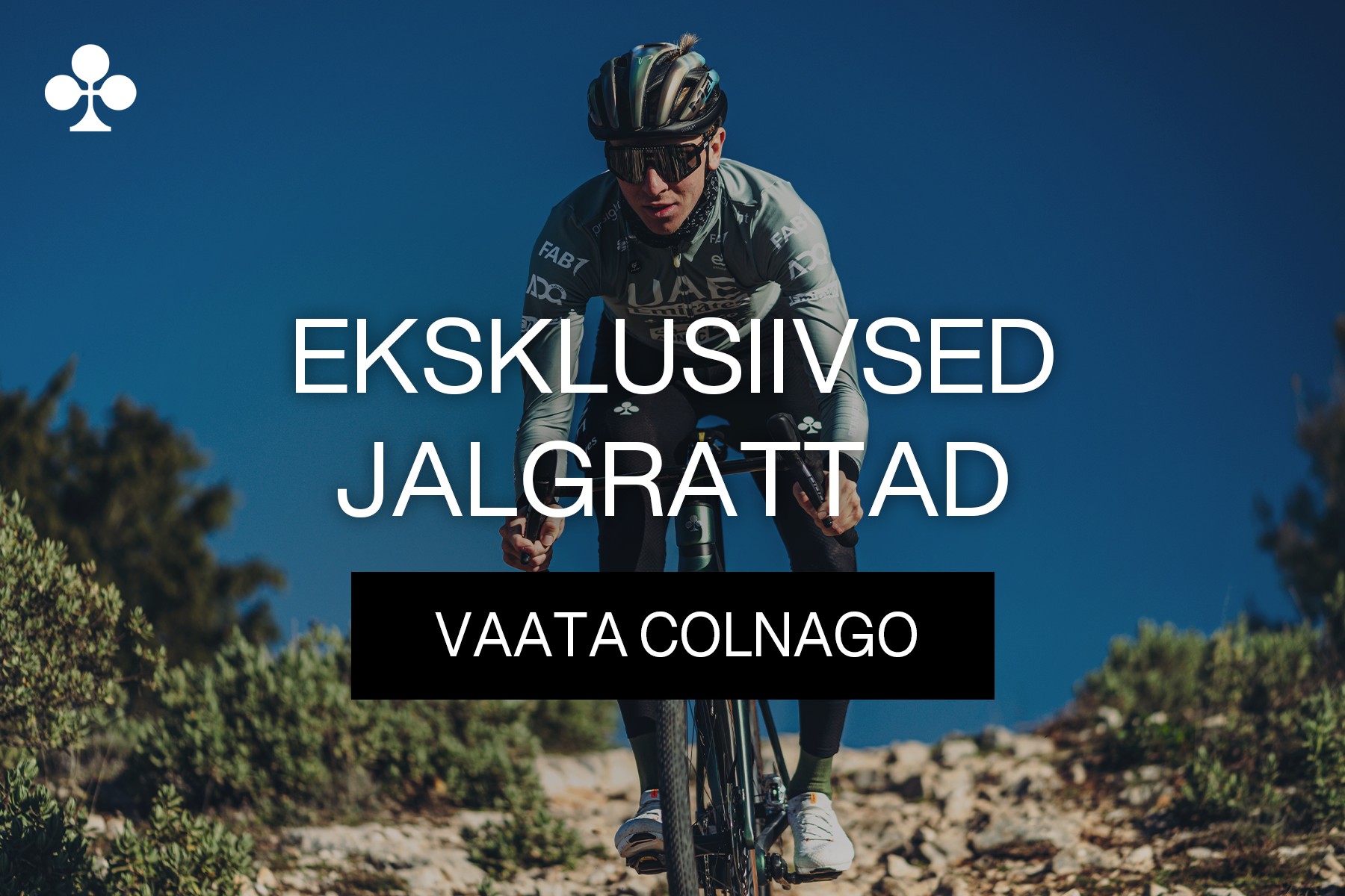 Jalgrataste veebipood | Velonova.ee